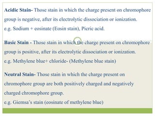 Staining | PDF