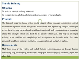 Staining | PDF