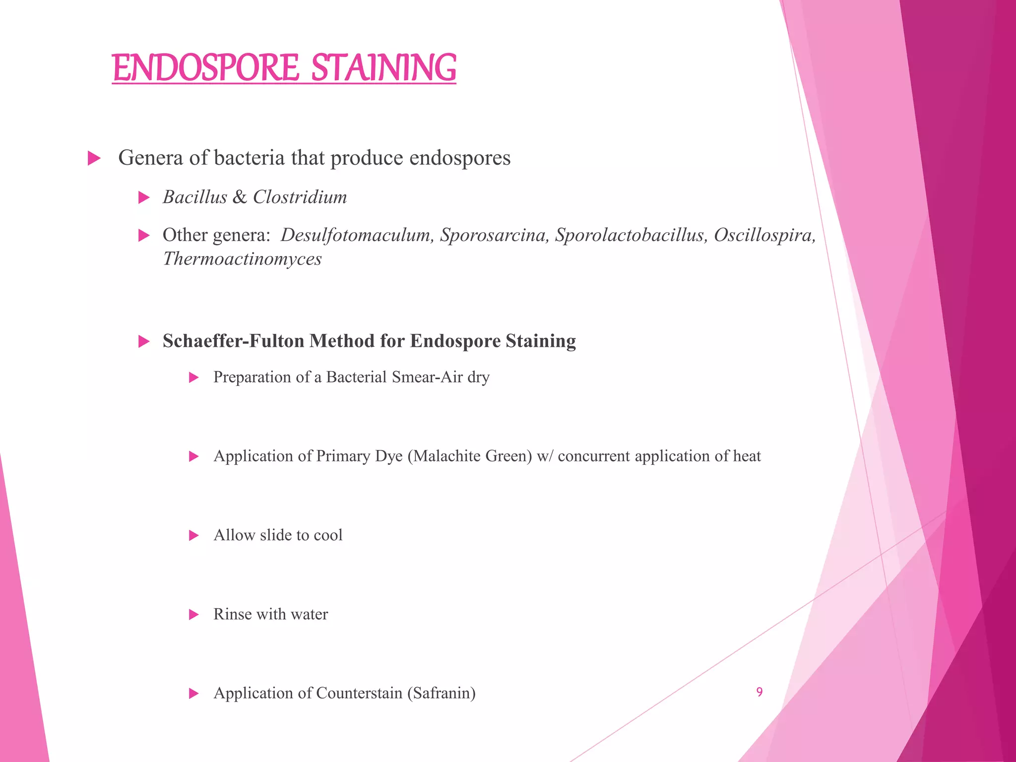 Staining- Pharmaceutical MIcrobiology | PPTX