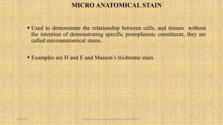 STAINING._110459.pptx