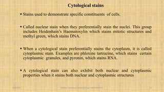 STAINING._110459.pptx