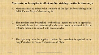 STAINING._110459.pptx