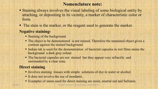 STAINING._110459.pptx