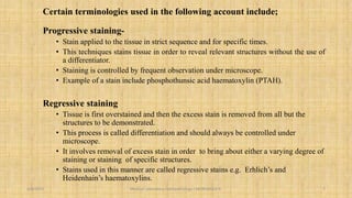 STAINING._110459.pptx