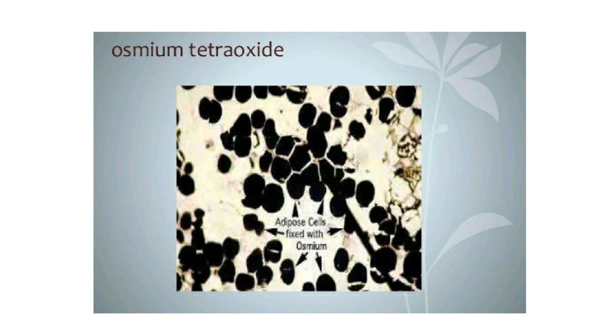 Stains and staining procedures in Pathology pptx | PPT