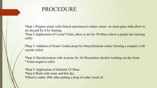 IMPORTANCE OF STUDYING MICROBIOLOGY IN MEDICAL LABORATORY STUDENTS ...