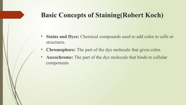 IMPORTANCE OF STUDYING MICROBIOLOGY IN MEDICAL LABORATORY STUDENTS ...
