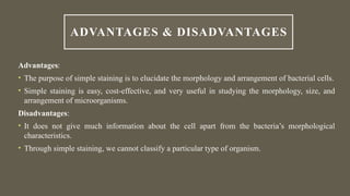 staining .pptxbjjjjjjjjjjjjjjjjjjjjjjjjjj | PPTX