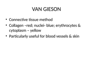 STAINING IN ANATOMY AND THE FETAL DEVELOPMENT | PPT