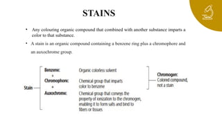 Staining.pptx staining is a technique used to | PPT