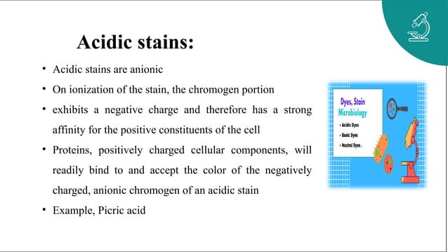 Staining Pptx Staining Is A Technique Used To Ppt