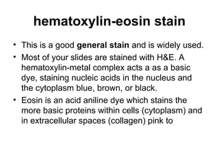 SIMPLE & DIFFERENTIAL STAINING IN THE LA | PPT