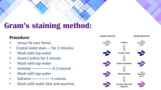 staining techniques use in microbiology.pptx