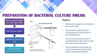 staining techniques use in microbiology.pptx
