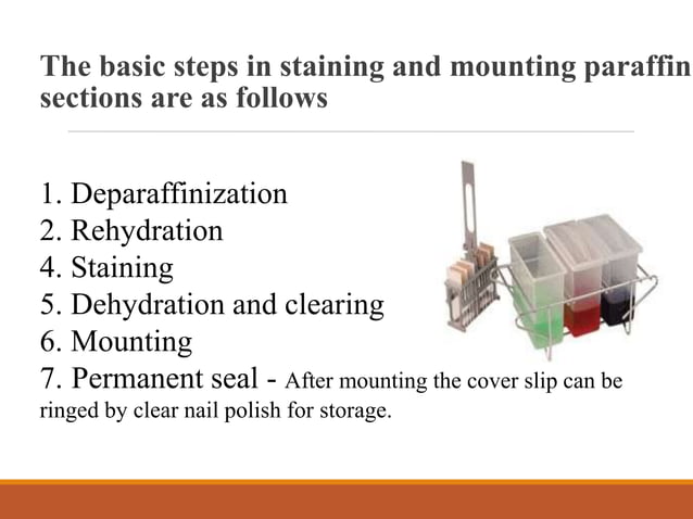 staining (1).ppt