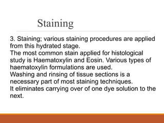 staining (1).ppt