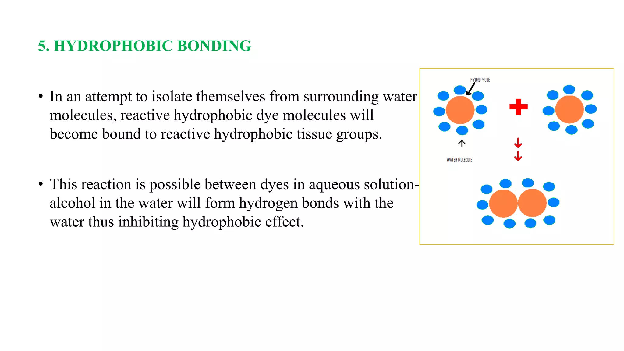 Theories of Staining | PPTX