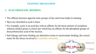 Theories of Staining | PPTX