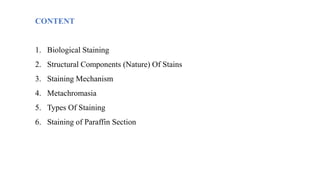 Theories of Staining | PPTX