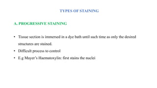 Theories of Staining | PPTX