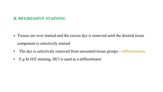 Theories of Staining | PPTX