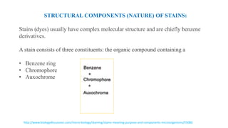 Theories of Staining | PPTX
