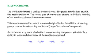 Theories of Staining | PPTX