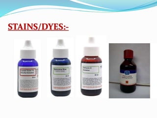 Staining and staining techniques 1.pptx