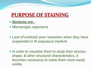 Staining and staining techniques 1.pptx