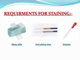 Staining and staining techniques 1.pptx