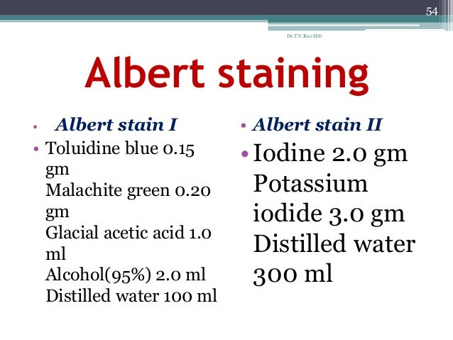 Stainingbacteria 101004225924-phpapp02