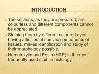 Staining by hematoxylin and eosin | PPTX | Blood Disorders | Diseases and Conditions