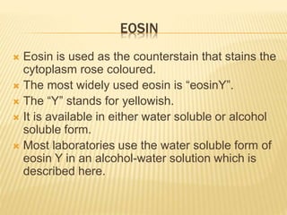 Staining by hematoxylin and eosin | PPTX