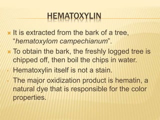 Staining by hematoxylin and eosin | PPT