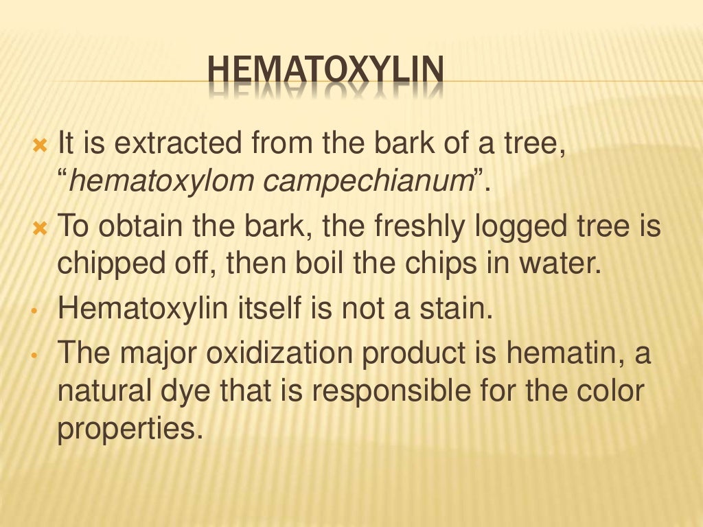 Staining by hematoxylin and eosin
