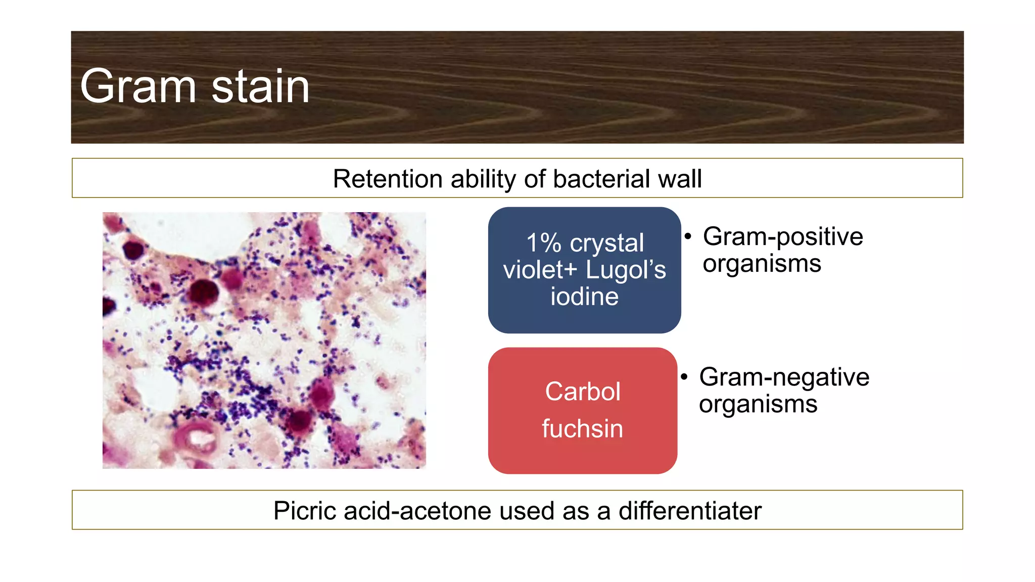 Special Stains | PPTX