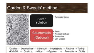 Special Stains | PPTX