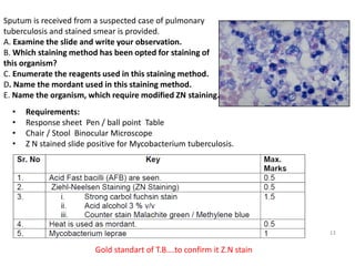 Staining & culture medias | PPTX