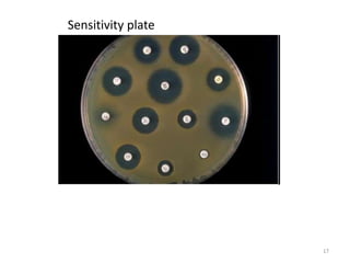 Staining & culture medias | PPTX