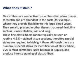 Special Staining in Histopathology.pptx