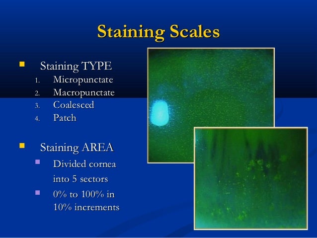 Staining grid lecture