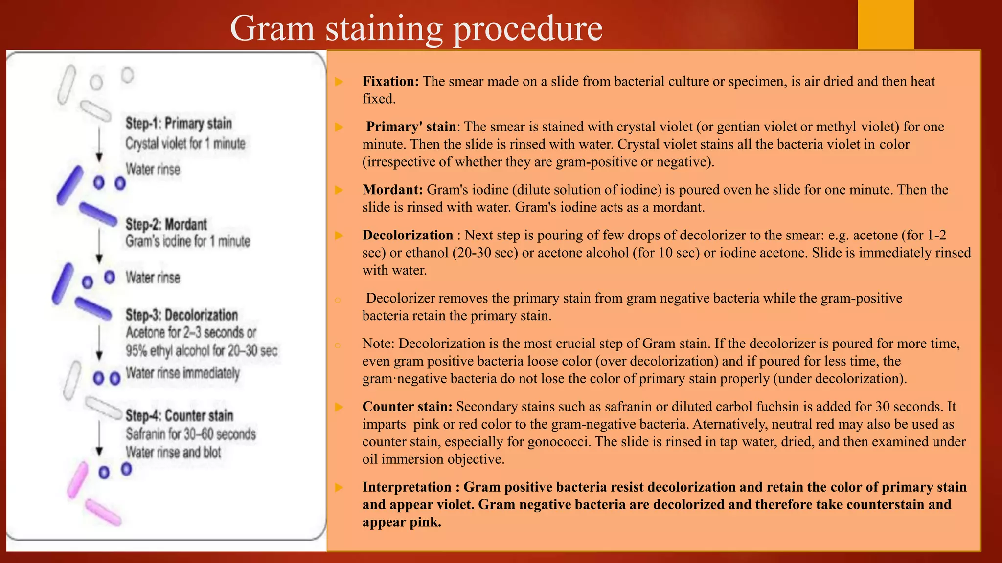 Staining in Microbiology | PPTX