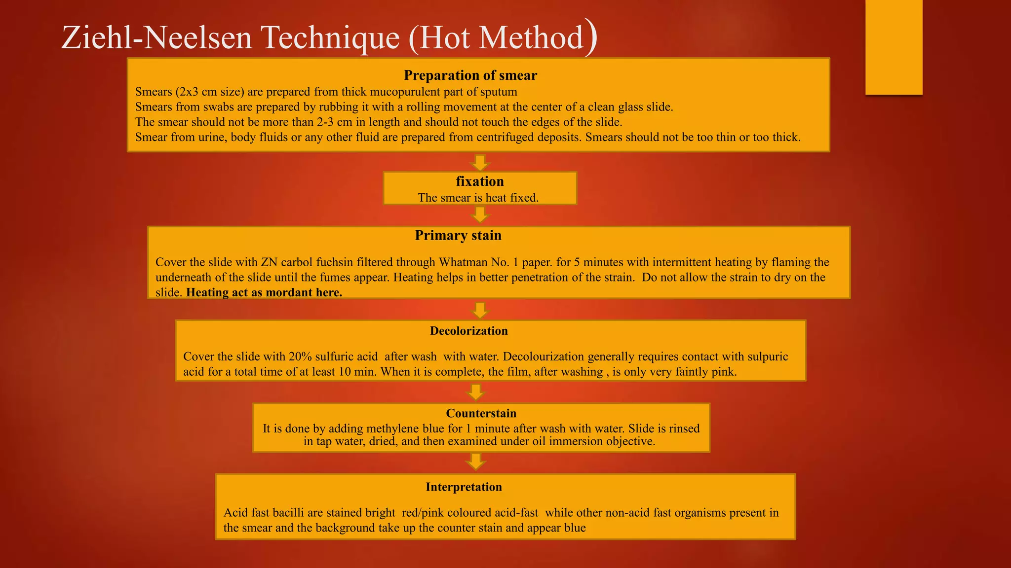 Staining in Microbiology | PPTX