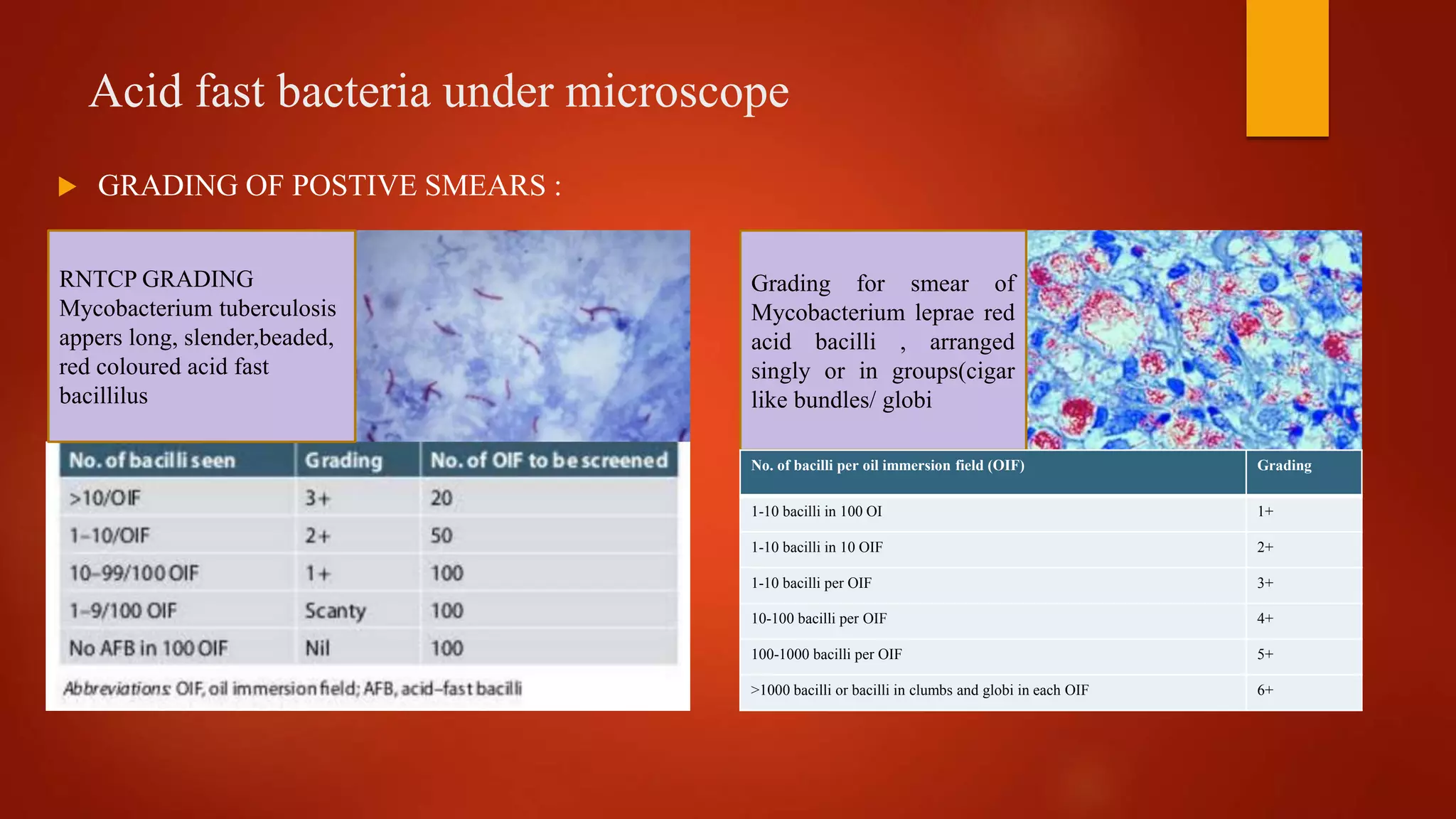 Staining in Microbiology | PPTX