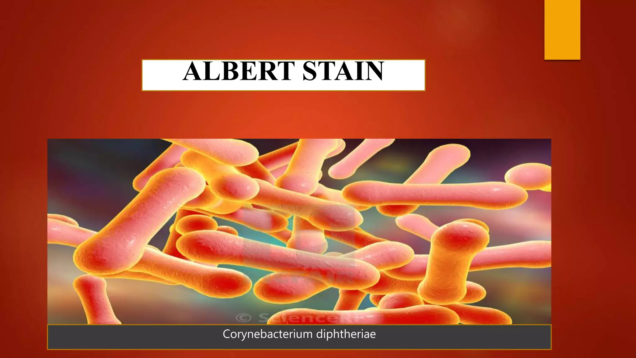 Staining in Microbiology | PPTX
