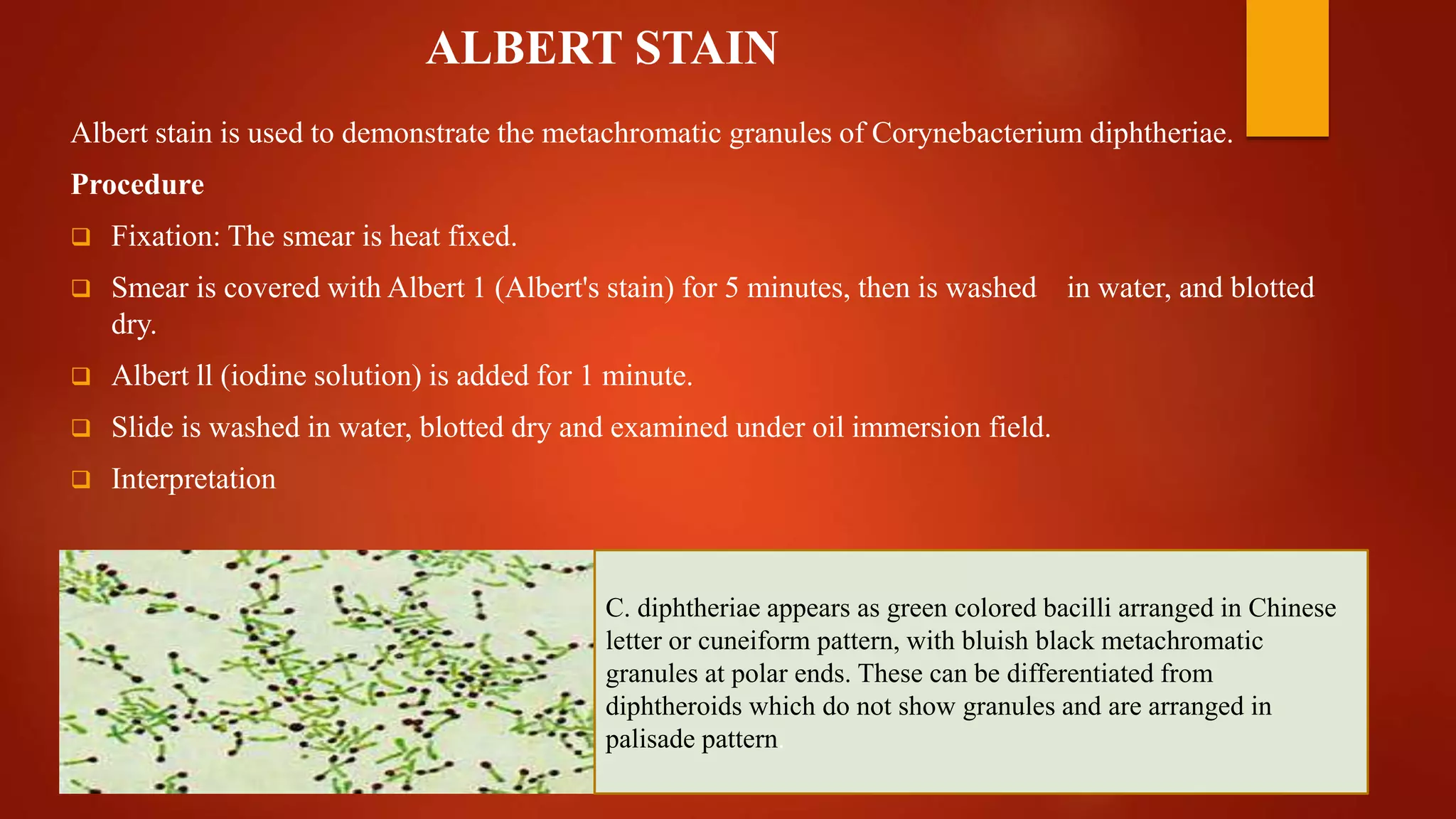 Staining in Microbiology | PPTX