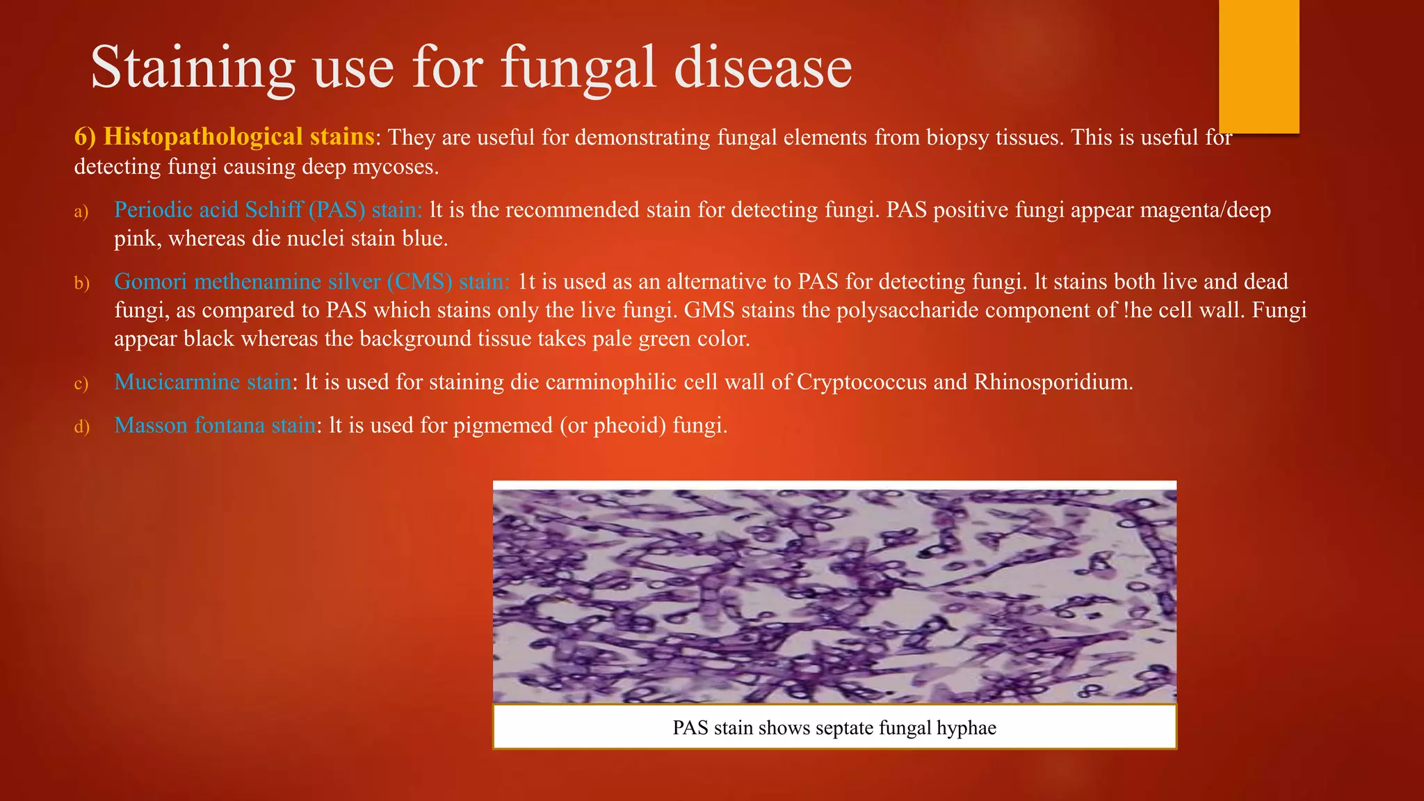 Staining in Microbiology | PPTX