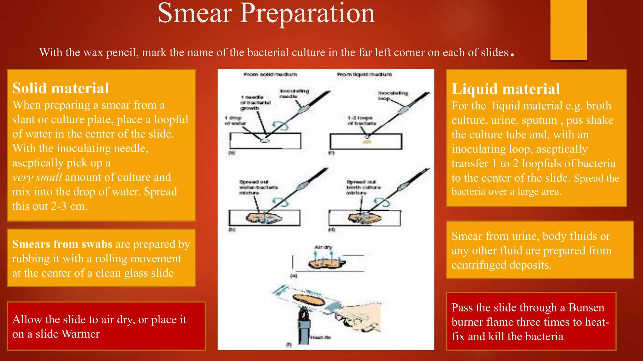 Staining in Microbiology | PPTX