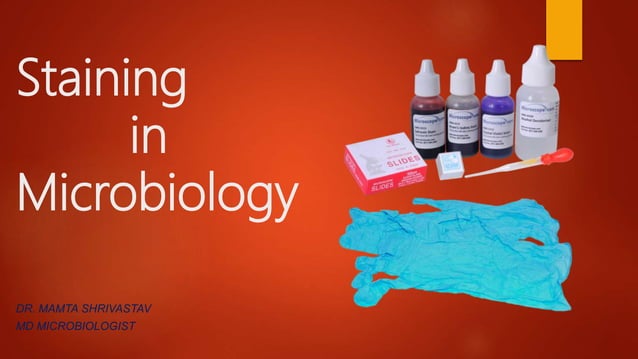 Staining in Microbiology | PPTX | Oral care | Personal Care