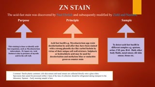 Staining in Microbiology | PPTX